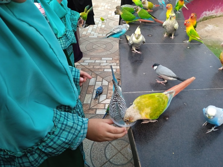 Edu Trip Goes to Bird Park (Mengenal Berbagai Macam Binatang) – Yaa ...