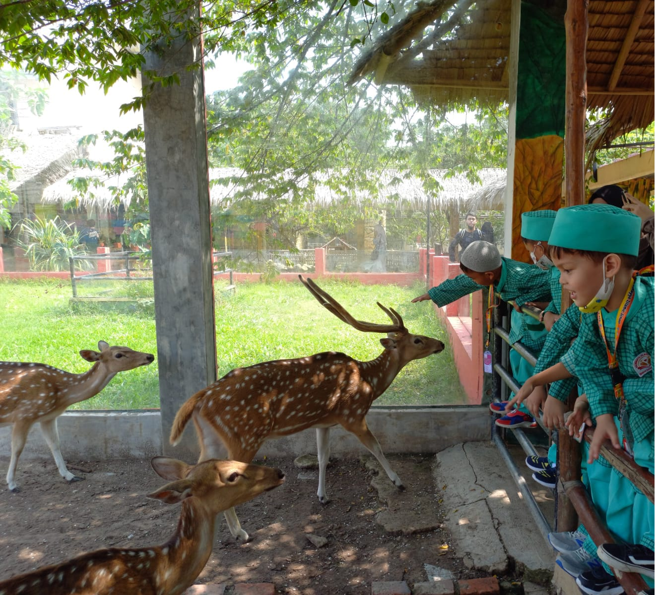 Edu Trip Goes to Bird Park (Mengenal Berbagai Macam Binatang) – Yaa ...