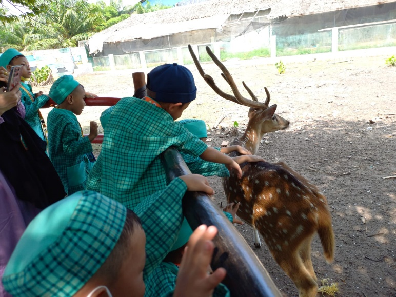 Edu Trip Goes to Bird Park (Mengenal Berbagai Macam Binatang) – Yaa ...